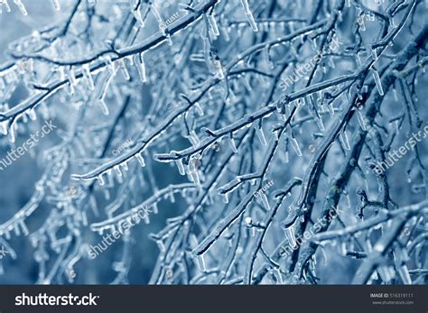 Frozen Ice Tree Branches Frozen Tree Stock Photo 516319111 Shutterstock