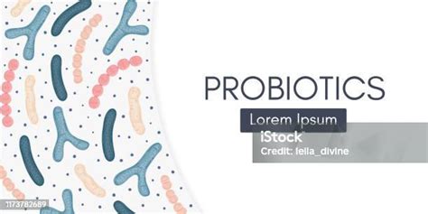 Probiotics 비피도박테리움 락토바실러스 연쇄상구균 락토코커스 프로피오니박테리움 가리기에 대한 스톡 벡터 아트 및 기타 이미지 Istock