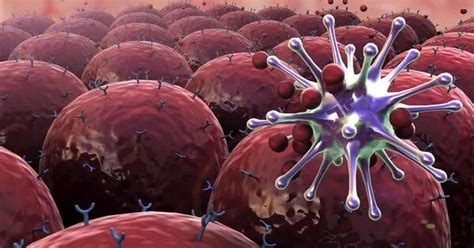 Improving Artificial Immune Cells To Combat Cancer Assignment Point