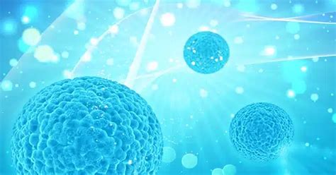 A New Study Finds Fresh Information Regarding The Process Of Cell