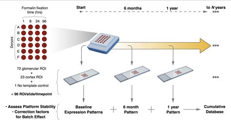 Figure 3 From Challenges And Opportunities For The Clinical Translation