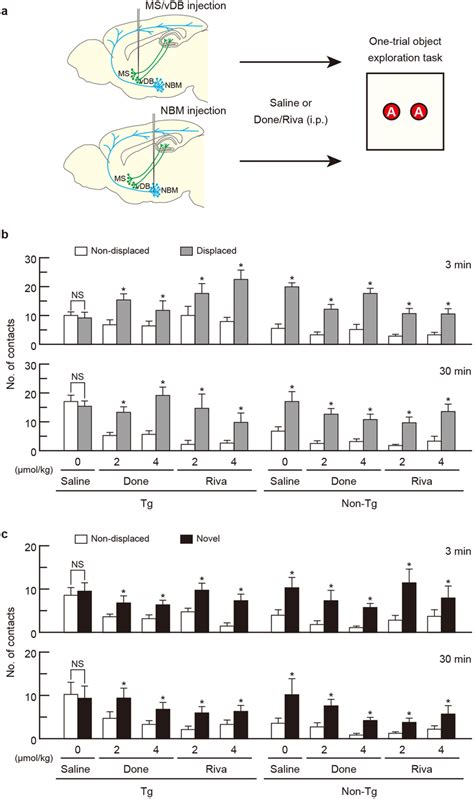 drug restoration of spatial and object working memory defects in mice