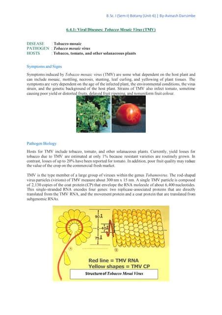 Tobacco Mosaic Virus Tobacco Mosaic Virus Pdf