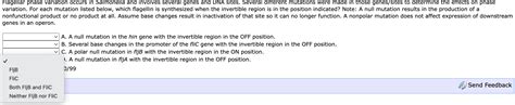 Solved Genes In An Operon A A Null Mutation In The Hin