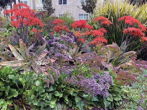 Nature Nurtures South County Mag