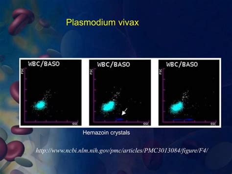 automation in hematology pptx