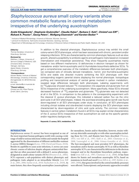 Pdf Staphylococcus Aureus Small Colony Variants Show Common Metabolic