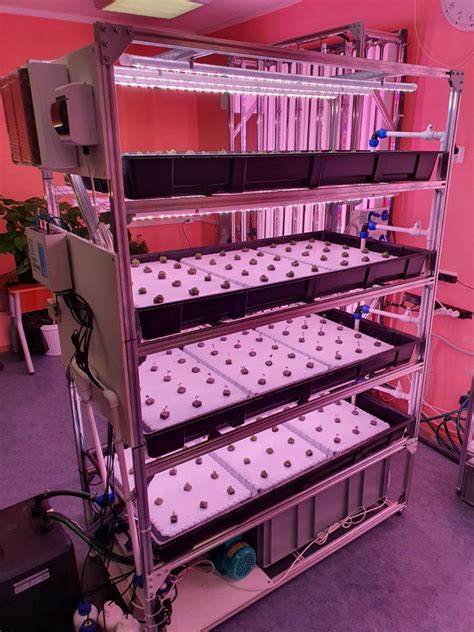 Вертикальные фермы CityFarmer под ключ, для выращивания клубники ...