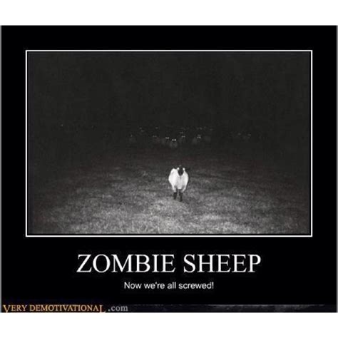 Zombie Sheep Zombie Sheep Picture