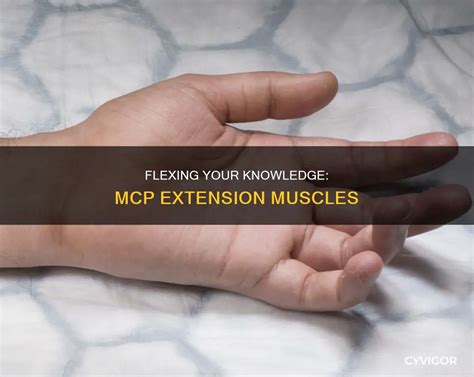 Flexing Your Knowledge Mcp Extension Muscles Cyvigor
