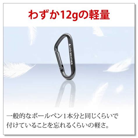 【楽天市場】カラビナ キーホルダー 5個セット 軽量で錆びないアルミ製 小型カラビナ キャンプ用品 防災グッズ キーリング アウトドア 登山 D型カラビナ おしゃれ 釣り道具：stash