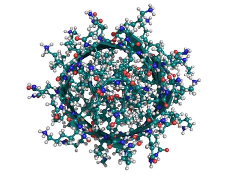 Aggregation Of Small Peptides