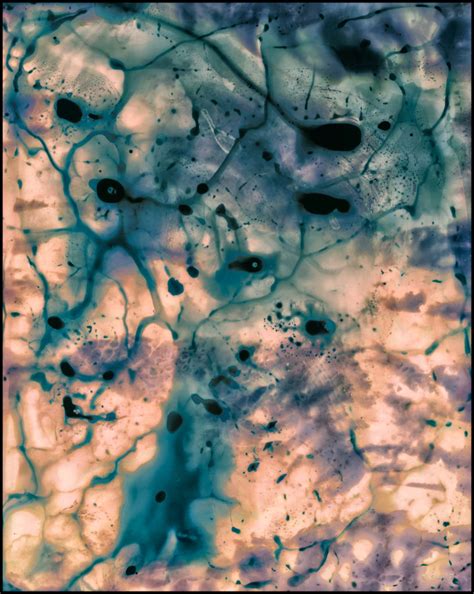 Chemigram Edward Peck