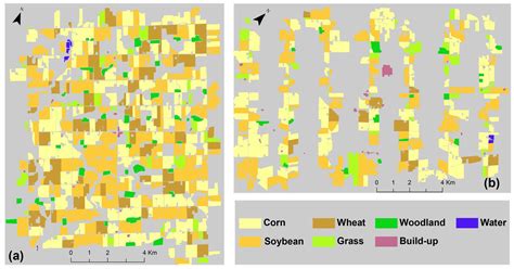 Early-Season Crop Classification Based on Local Window Attention ...