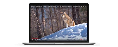 safari extension for scaling videos to fullscreen r macbookpro