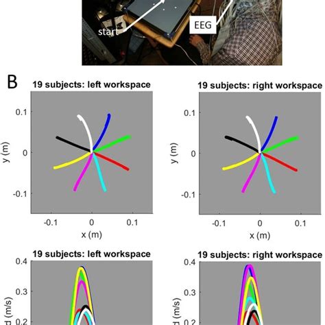 A Experimental Setup B Kinematics Of Finger Movements Paths And