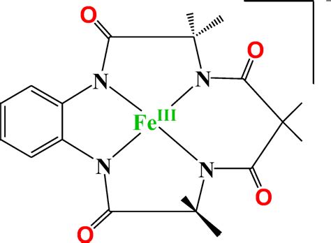 A Schematic Diagram Of Tetraamido Macrocyclic Ligand Coordinated Iron Download Scientific