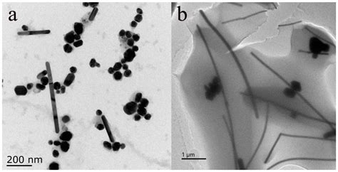 Detection Of Pesticide Residues Using Three Dimensional Sers Substrate