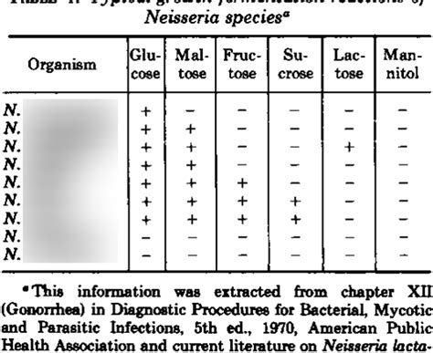 Neisseria And Moraxella Diagram Quizlet