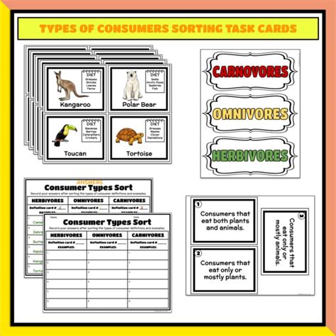 Ecosystems Sorting Task Card Bundle Ecosystem Types Energy Roles