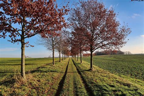 what is meant by a hybrid transition pathway innovation for agriculture