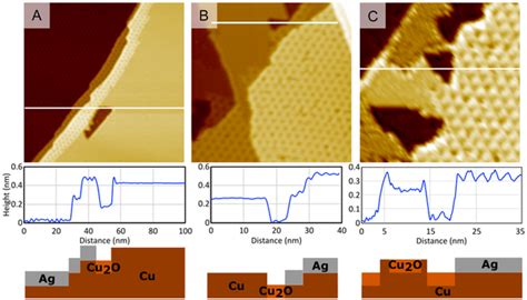 Scanning Tunneling Microscope Stm Images And Topographic Line Download Scientific Diagram