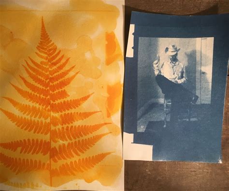 Alternative Photography Anthotype And Cyanotype 5 Steps With Pictures
