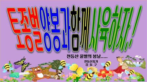 토종벌을 양봉과 한 장소에서 함께 사육하자 Youtube