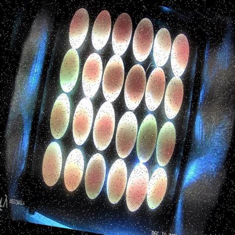 Egg Candling V1 0 Object Detection Model V1 2024 03 11 11 21am By