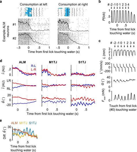 Reward Modulation Of Activity In Alm A Responses Of Two Simultaneously