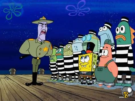 باب اسفنجی ، اردو تابستانی فیلو