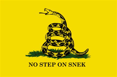 The Beautiful Insane World Of Dont Tread On Me Parody Flags