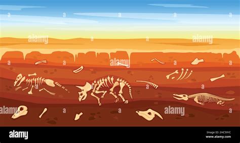 Cartoon Dinosaur Fossils In Ground Buried Dinosaurs Skeleton