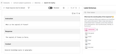How To Create Dataset Views For Custom Annotation User Experiences Snorkel Ai
