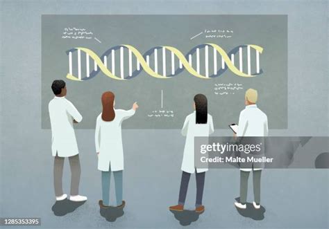 Dna Strand Diagram Photos And Premium High Res Pictures Getty Images