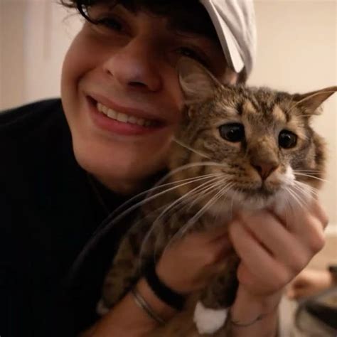 Softwilly And Bento In 2024