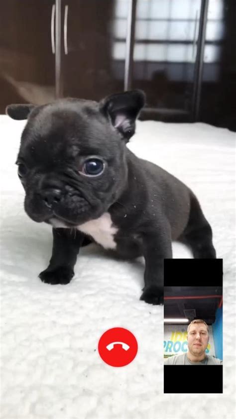 C Как в Unity выводить камеру с андроида в портретном режиме Stack Overflow на русском