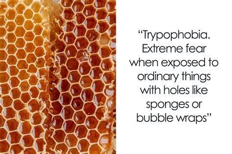 What Is The Phobia For Being Afraid Of Wasps
