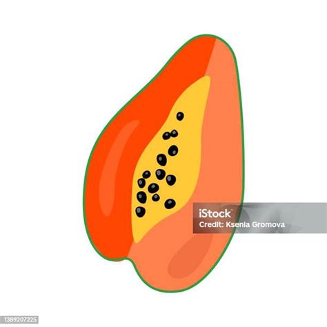 파파야 열대 과일 만화 스타일의 플랫 벡터 일러스트레이션 건강한 생활방식에 대한 스톡 벡터 아트 및 기타 이미지 건강한 생활방식 건강한 식생활 계절 Istock