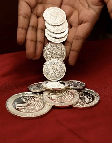 Pure Silver Coins At ₹ 950 Piece Silver Coins In Noida Id 25984482548