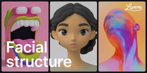 Facial Structure Images — Free Hd Download On Lummi