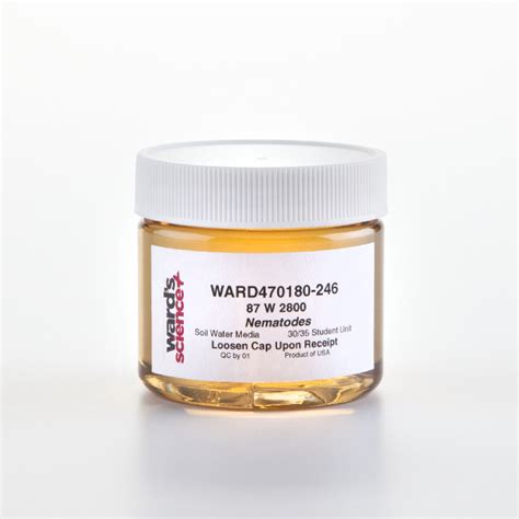 Soil Nematodes Animals Living Material