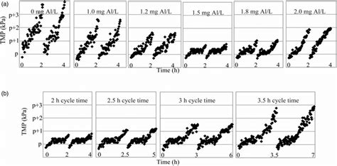 A And B Indicate TMP Variations During Two Consecutive Cycles Under Download Scientific
