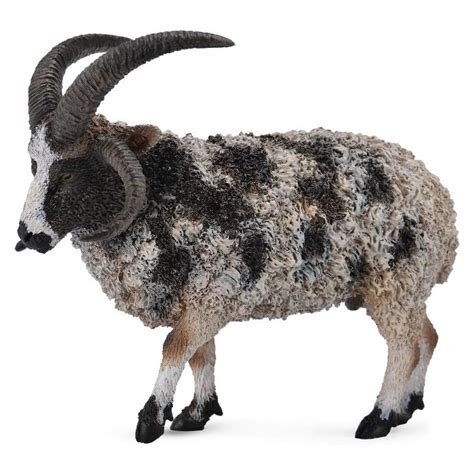 Oveja De Jacob La Extinción