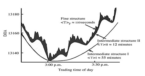 intermediate components and the fine structure component required to