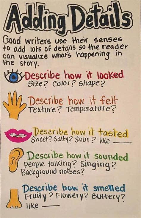 Paragraph Structure Anchor Chart