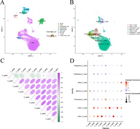 肝细胞癌中 Cd8 T 细胞、cd4 T 细胞和耗竭 T 细胞动态变化的单细胞景观scientific Reports X Mol