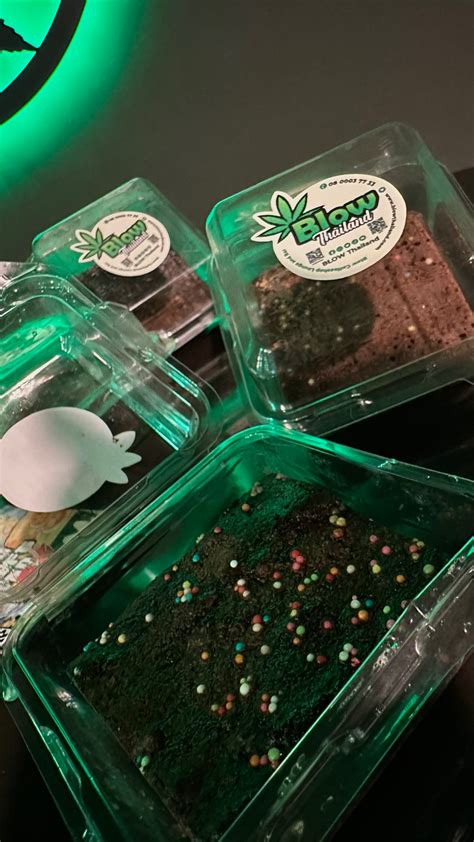 Diodora Blow Thailand And Cannabis House Lounge Club In Chonburi