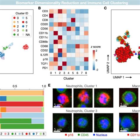 Patient Data Visualization A Dimensionality Reduction The