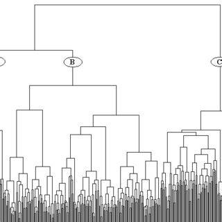 Dendrogram Of Numerical Classification Of Plant Communities Of The